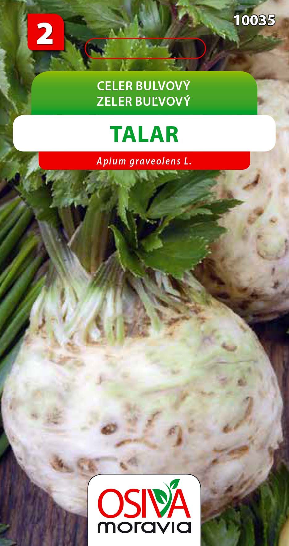 Celer bulvový - Talar | Osej.cz