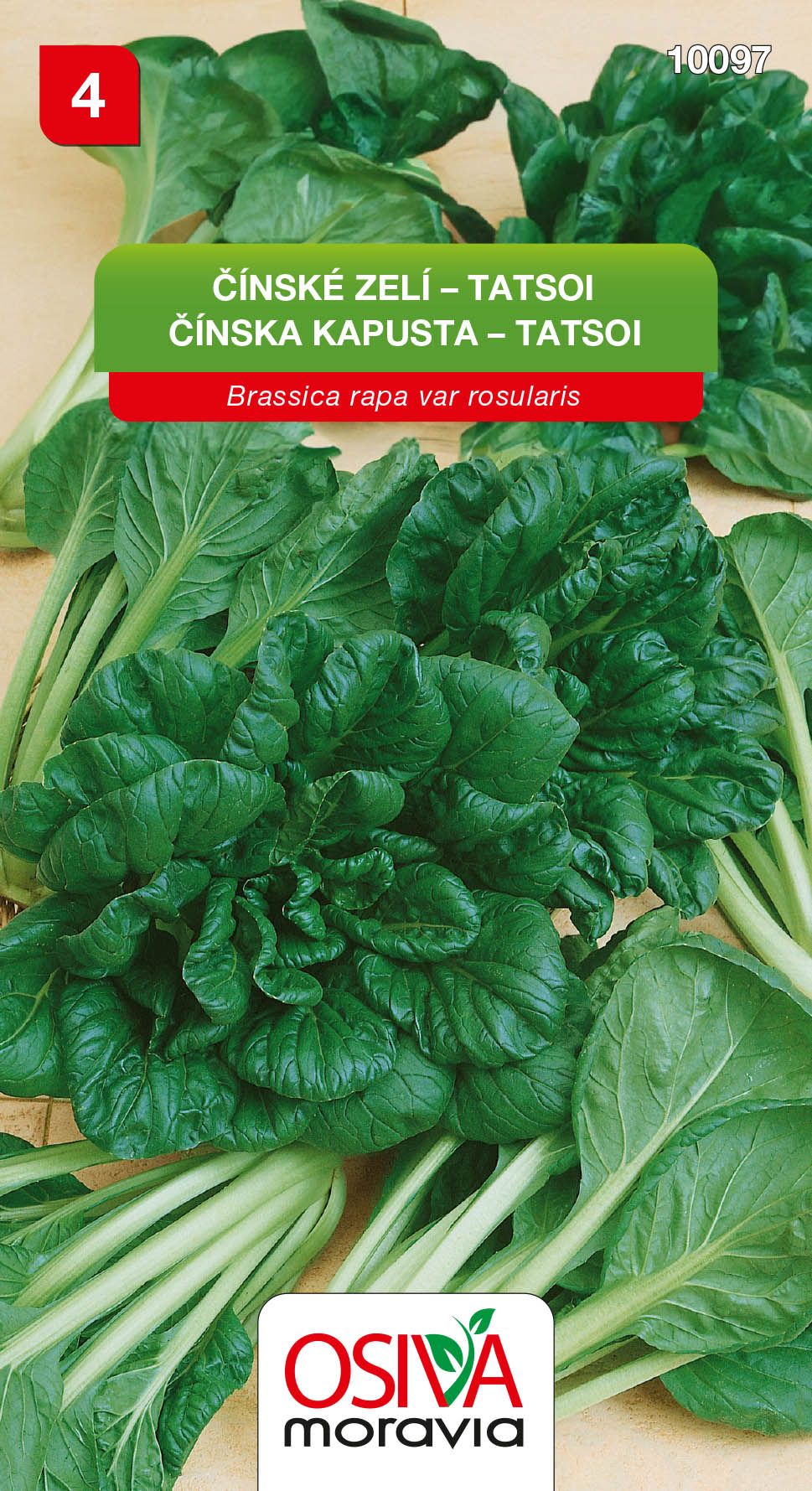 Čínské zelí (Pak Choi) - Tatsoi | Osej.cz