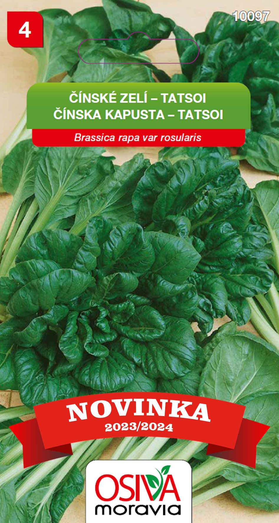 Čínské zelí (Pak Choi) - Tatsoi | Osej.cz
