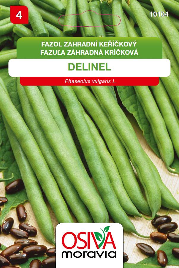Fazol keříčkový - Delinel | Osej.cz
