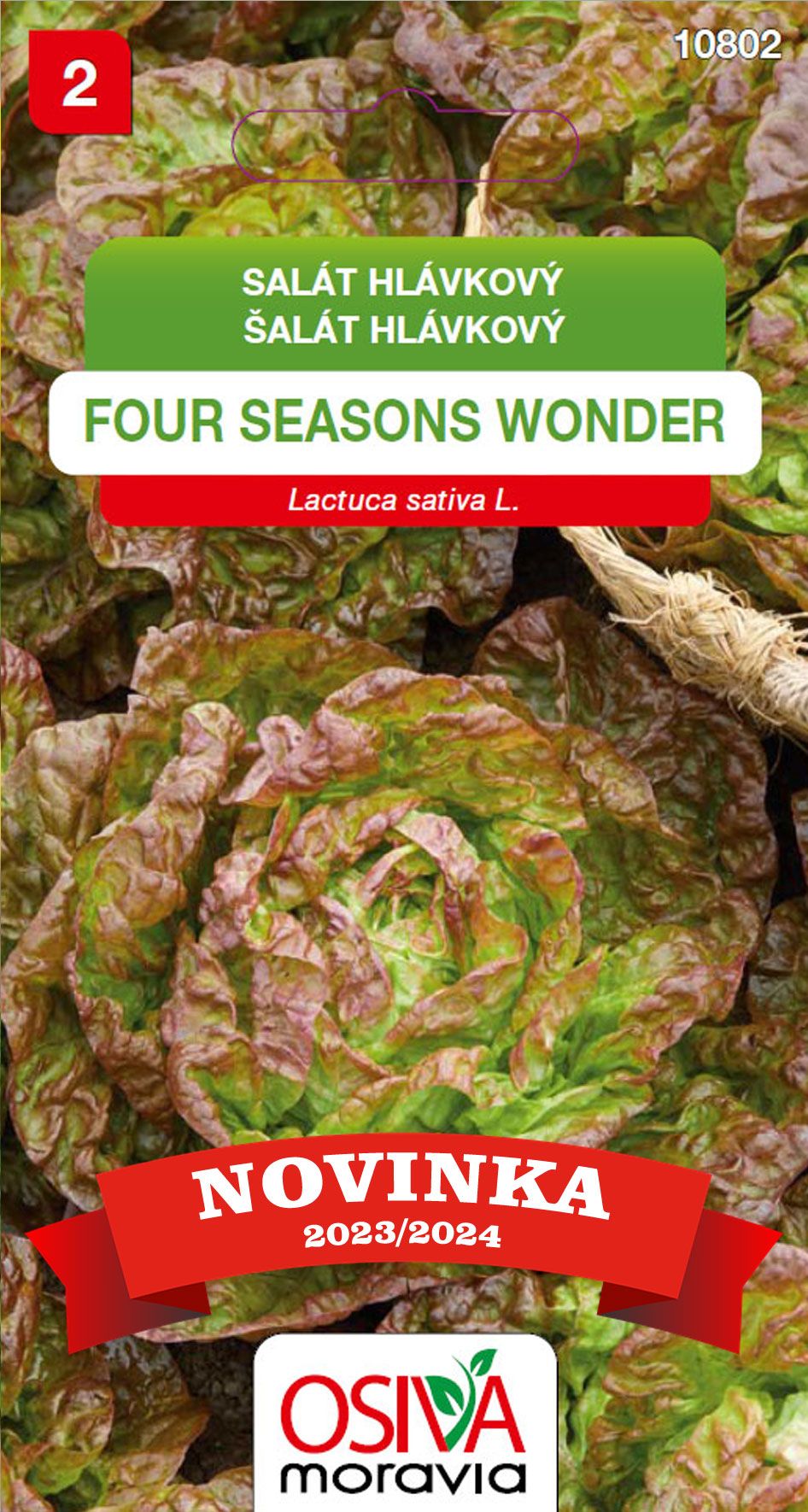 Šalát hlávkový - Four Seasons Wonder | Osej.cz