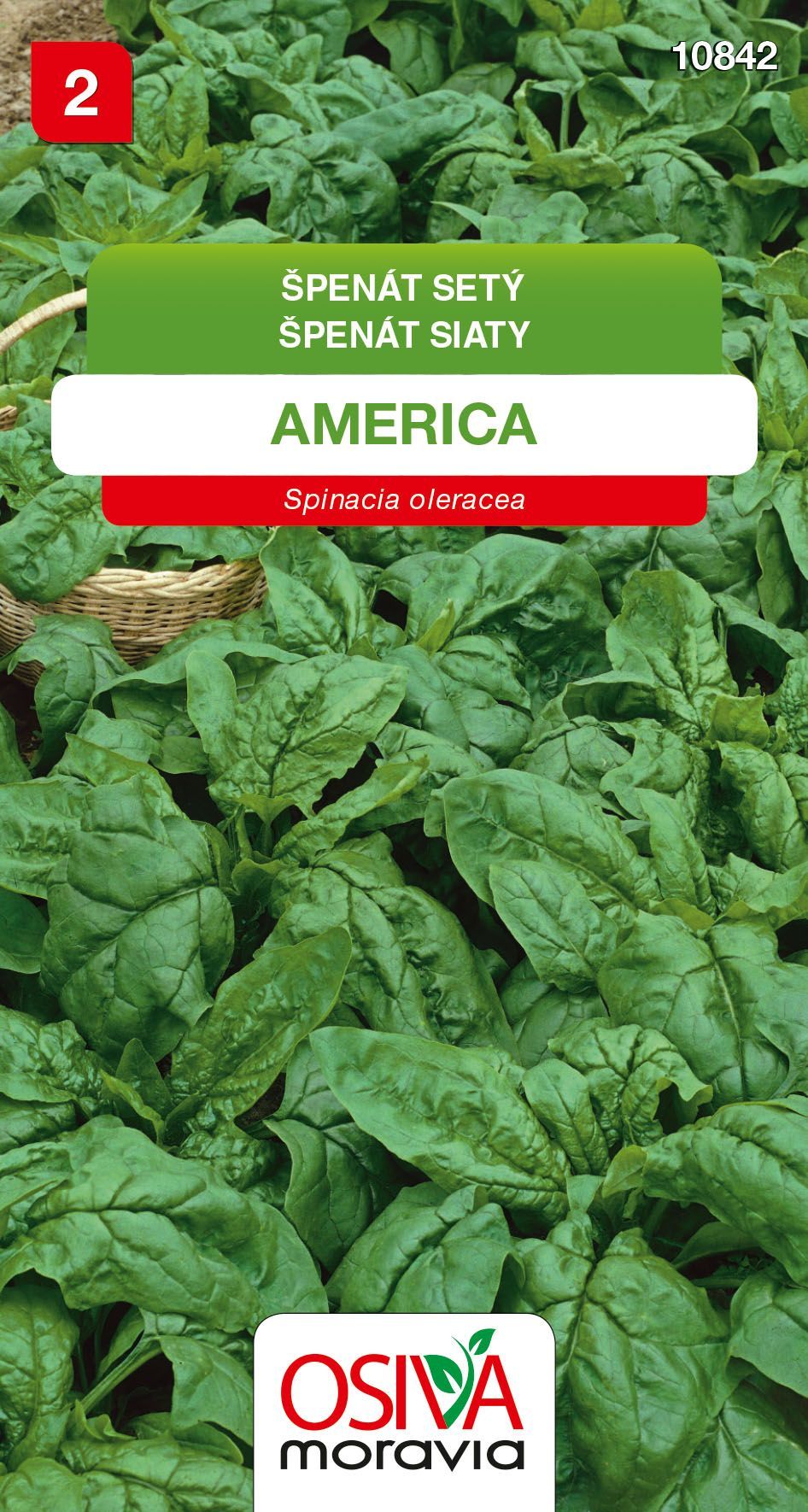 Špenát setý - America | Osej.cz