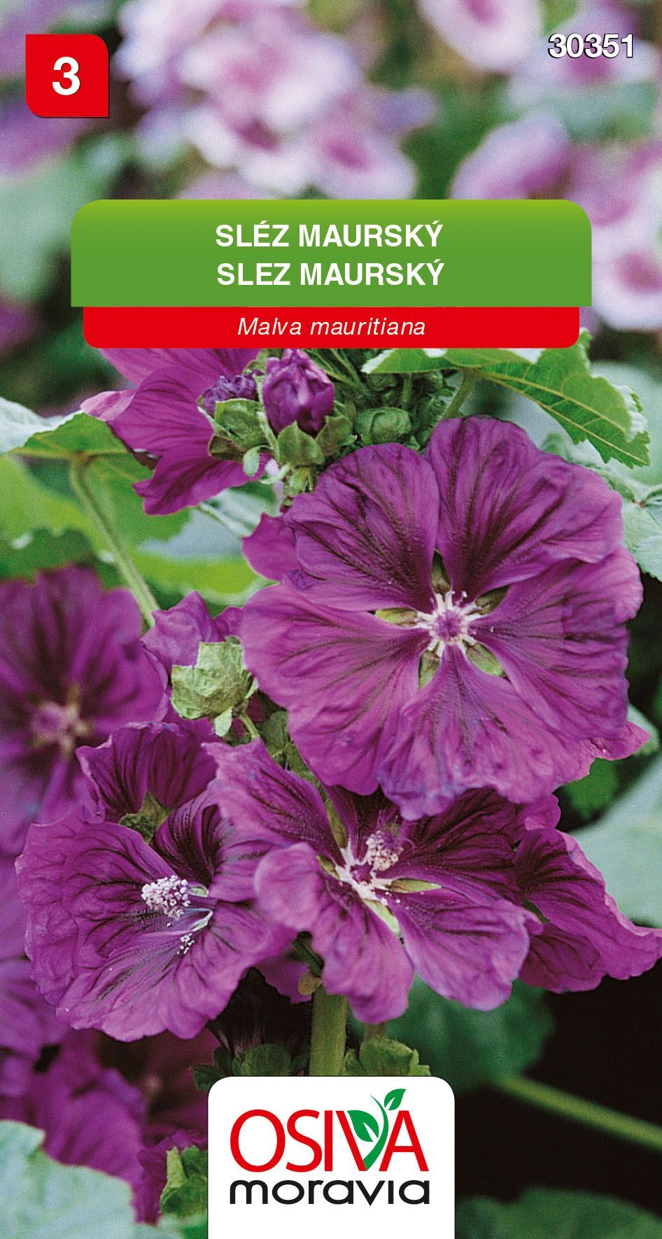 Sléz maurský | Osej.cz